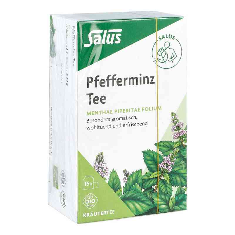 Pfefferminz Tee Menthae piperitae folium bio Salus 15 stk