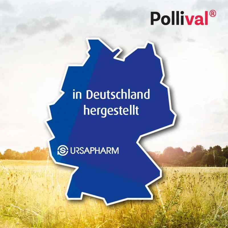 Pollival 1 mg/ml Nasenspray Lösung 10 ml online kaufen